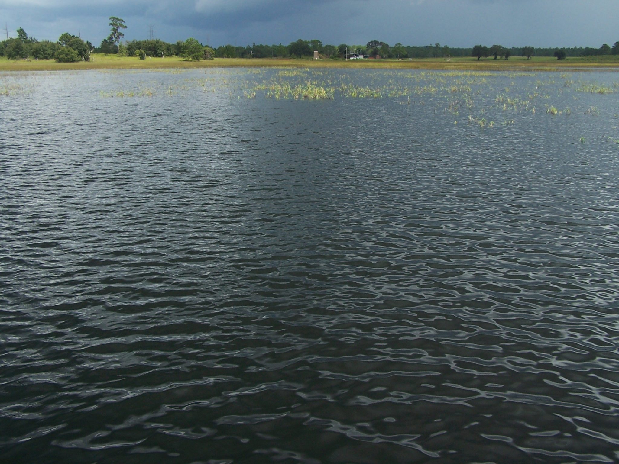 Lake Shot (looking down) - Greater Tampa Bay Area Council