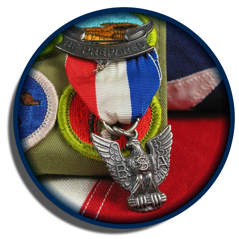 Members - Greater Tampa Bay Area Council