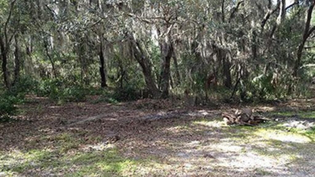 Camp Alafia - Greater Tampa Bay Area Council