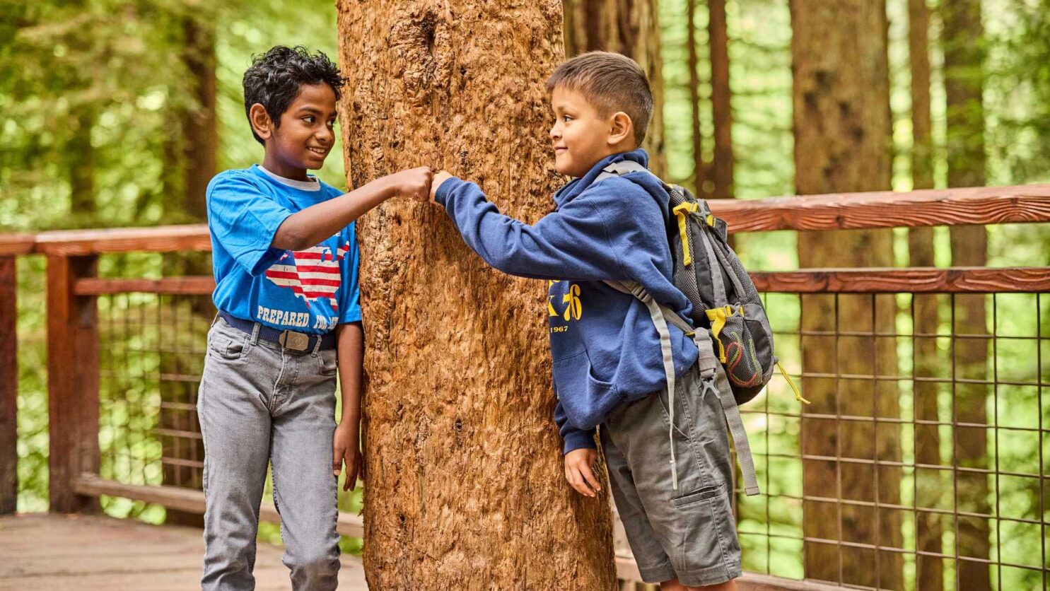 Greater Tampa Bay Area Council, Boy Scouts of America