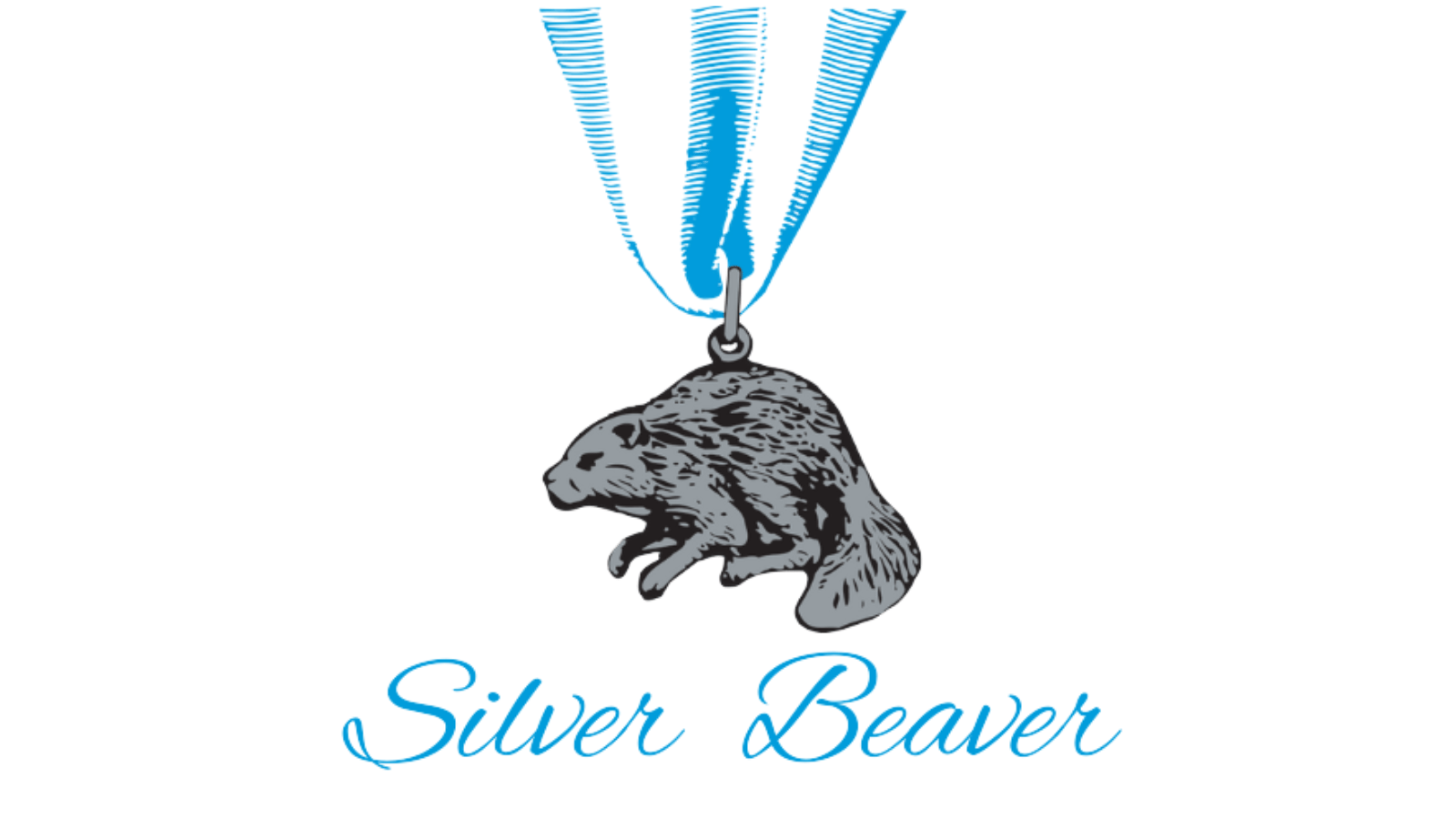 Silver Beaver Award - Greater Tampa Bay Area Council